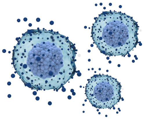 EXOSOMES-101 | Exosome Connoisseur